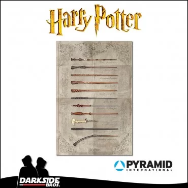 Harry Potter - The Wand Chooses The Wizard - Maxi Poster 90x60 - Pyramid